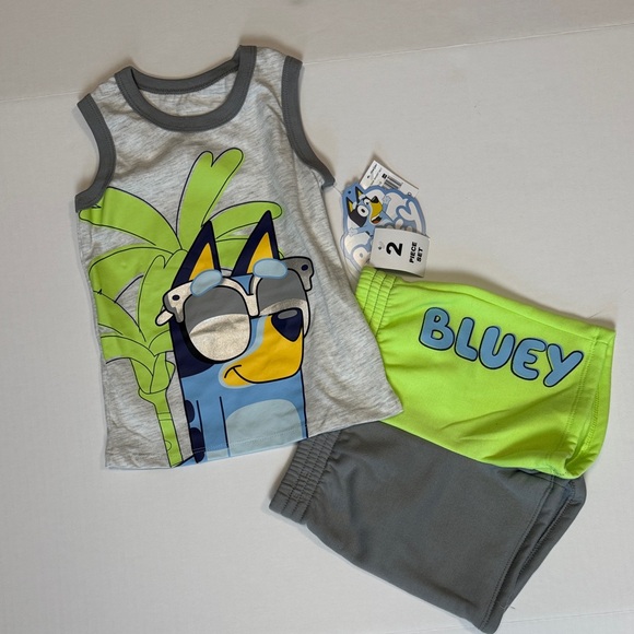 Bluey | Matching Sets | Bluey Kids Matching Set Gray And Green | Poshmark